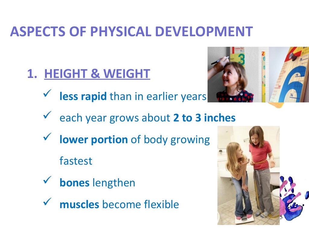 Middle Childhood: Physical Development