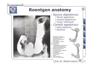 Middle_Digestive_Tract.pdf
