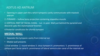 Middle ear | PPT