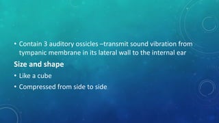 Middle ear | PPTX