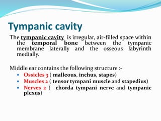 Middle ear anatomy | PPTX