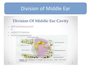 Middle ear anatomy and physiology | PPTX