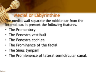 Middle ear | PDF | Ear, Nose and Throat Conditions | Diseases and ...