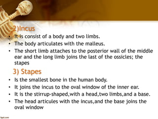 Middle ear | PDF | Ear, Nose and Throat Conditions | Diseases and ...