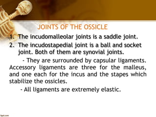 Middle ear | PDF | Ear, Nose and Throat Conditions | Diseases and ...