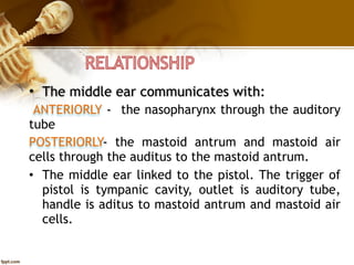 Middle ear | PDF | Ear, Nose and Throat Conditions | Diseases and ...