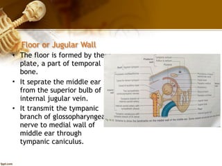 Middle ear | PDF
