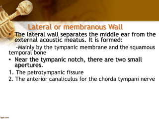 Middle ear | PDF | Ear, Nose and Throat Conditions | Diseases and ...