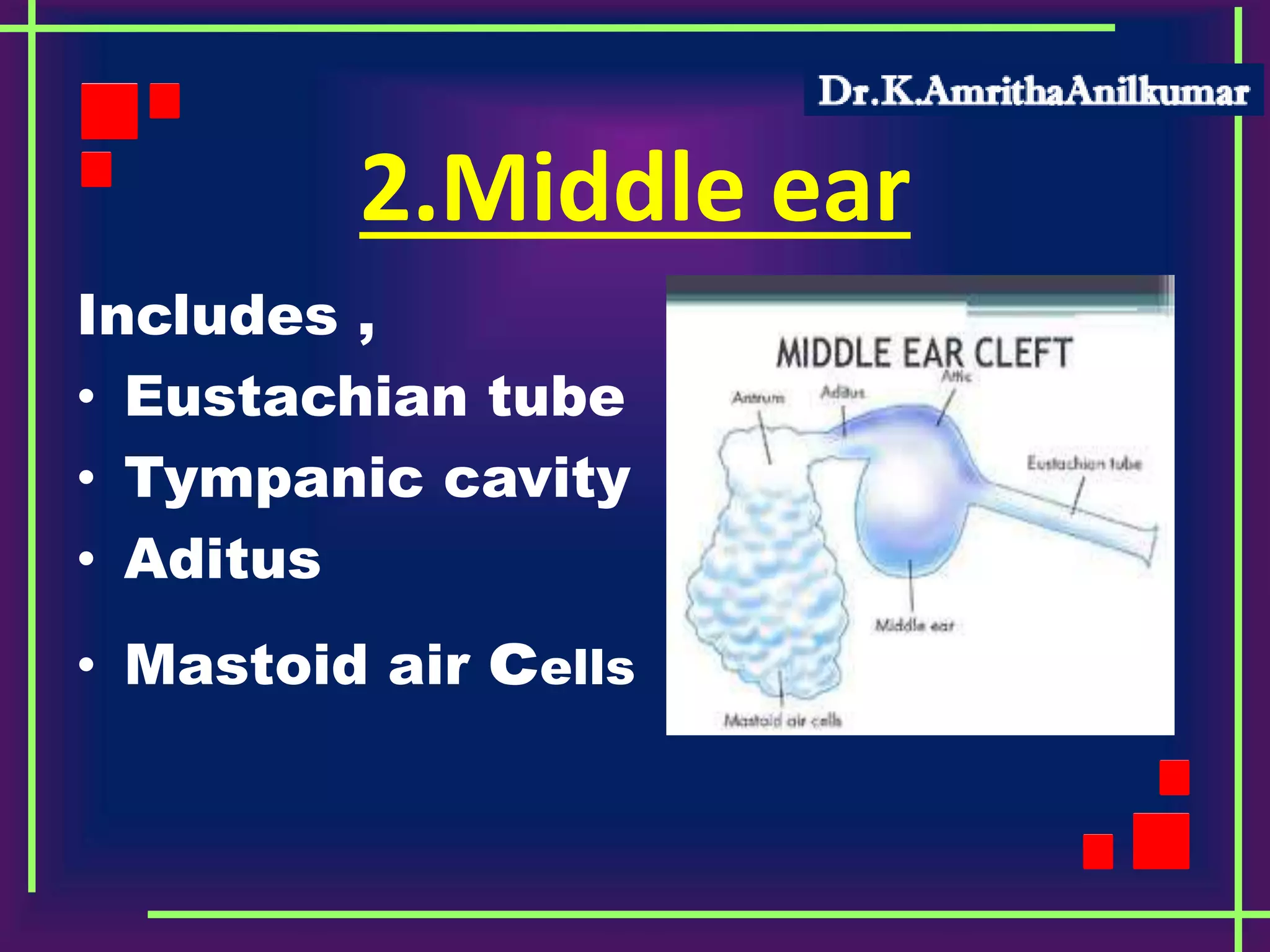 Anatomy of ear(Part 2-Middle Ear) by Dr.K.AmrithaAnilkumar | PPT