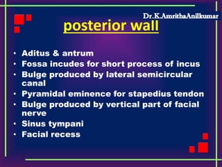 Anatomy of ear(Part 2-Middle Ear) by Dr.K.AmrithaAnilkumar | PPTX | Ear ...