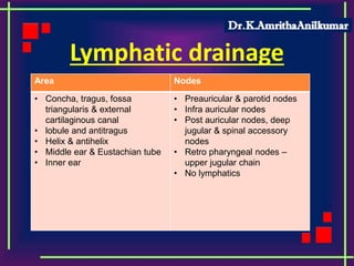 Anatomy of ear(Part 2-Middle Ear) by Dr.K.AmrithaAnilkumar | PPTX | Ear ...