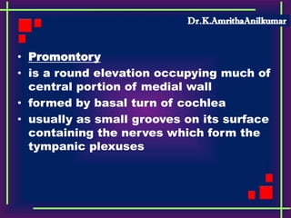 Anatomy of ear(Part 2-Middle Ear) by Dr.K.AmrithaAnilkumar | PPT