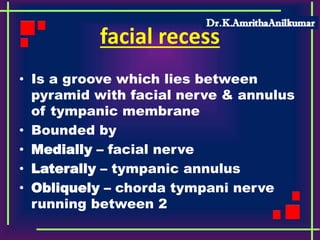 Anatomy of ear(Part 2-Middle Ear) by Dr.K.AmrithaAnilkumar | PPT