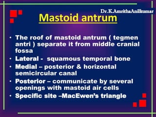 Anatomy of ear(Part 2-Middle Ear) by Dr.K.AmrithaAnilkumar | PPT