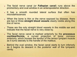 Middle Ear Anatomy - Arjun Antony Graison | PPTX | Ear, Nose and Throat ...