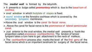 middle ear anatomy | PPTX