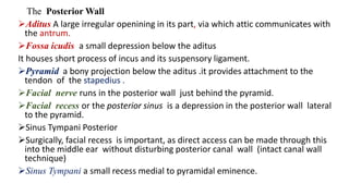 middle ear anatomy | PPTX