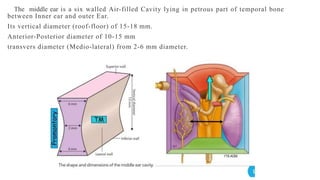 middle ear anatomy | PPTX
