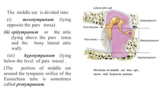 middle ear anatomy | PPTX