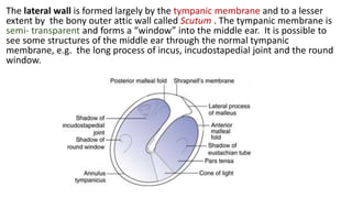 middle ear anatomy | PPTX