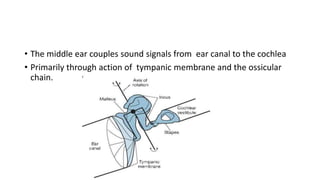 middle ear.pptx