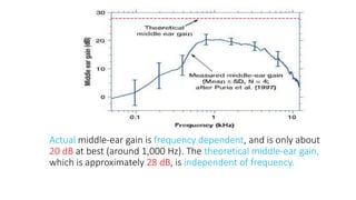 middle ear.pptx