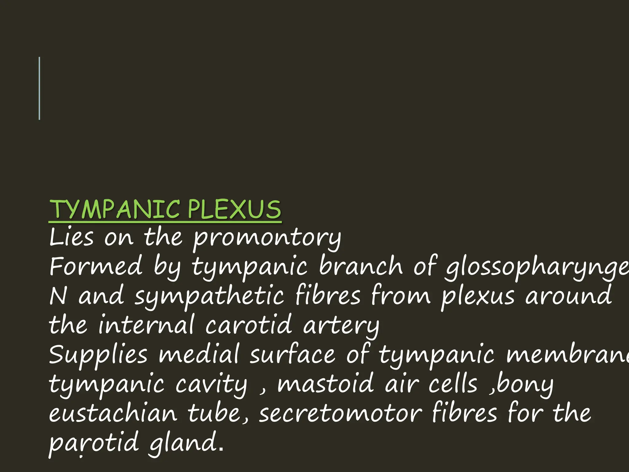Anatomy of the middle ear, Blood supply, Nerve supply | PPTX