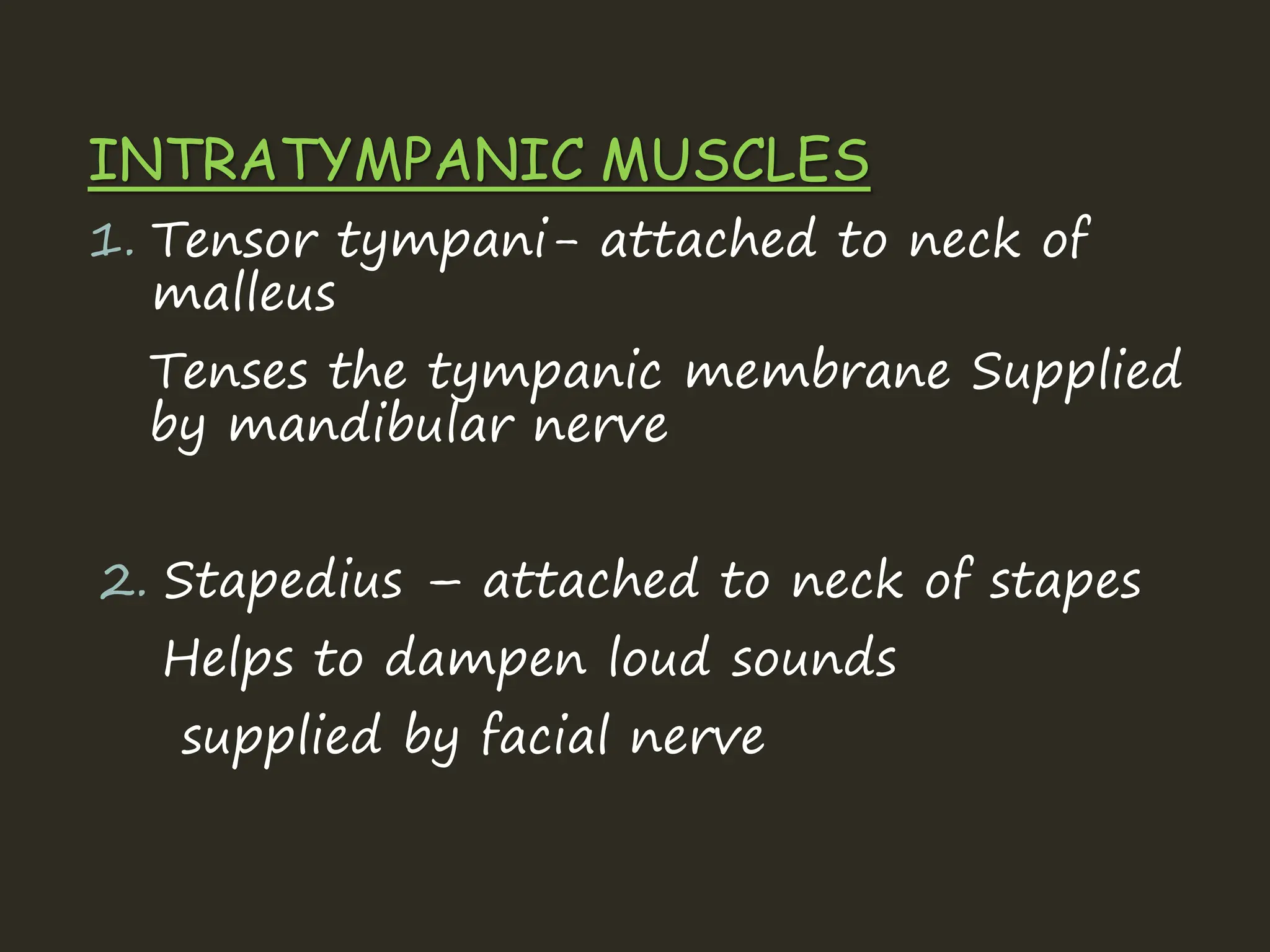 Anatomy of the middle ear, Blood supply, Nerve supply | PPTX
