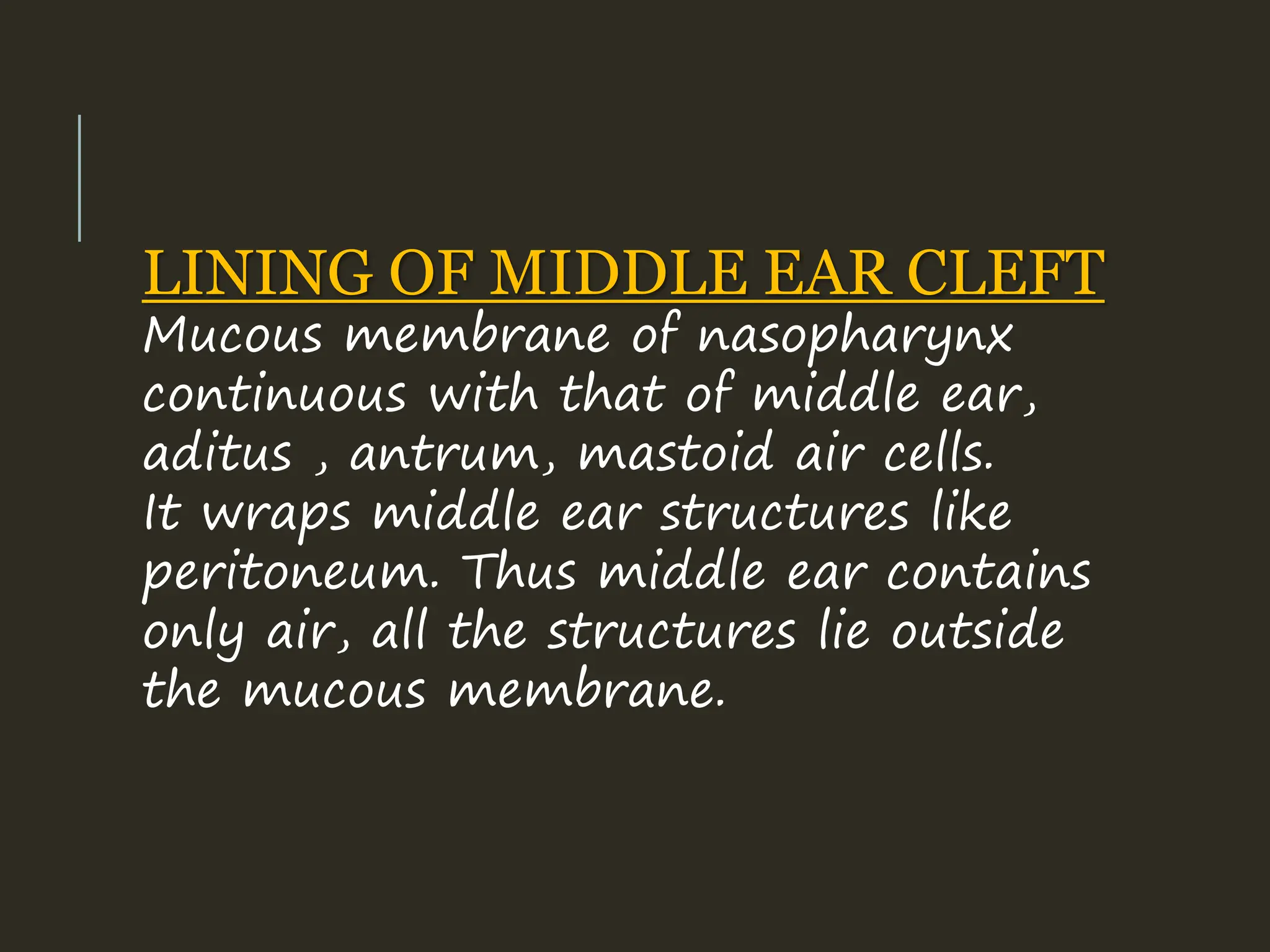 Anatomy of the middle ear, Blood supply, Nerve supply | PPTX