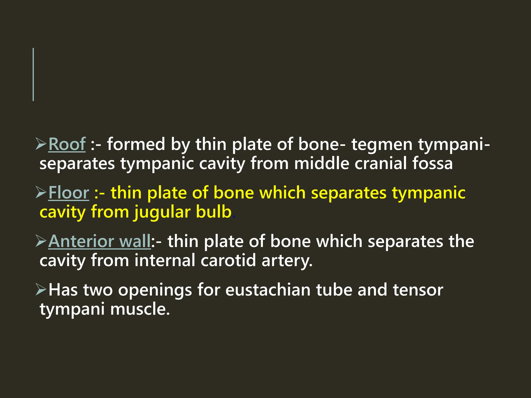 Anatomy of the middle ear, Blood supply, Nerve supply | PPTX
