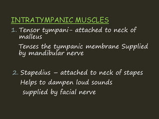 Anatomy of the middle ear, Blood supply, Nerve supply | PPTX