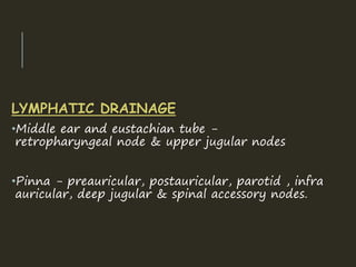Anatomy of the middle ear, Blood supply, Nerve supply | PPTX