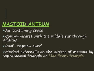 Anatomy of the middle ear, Blood supply, Nerve supply | PPTX