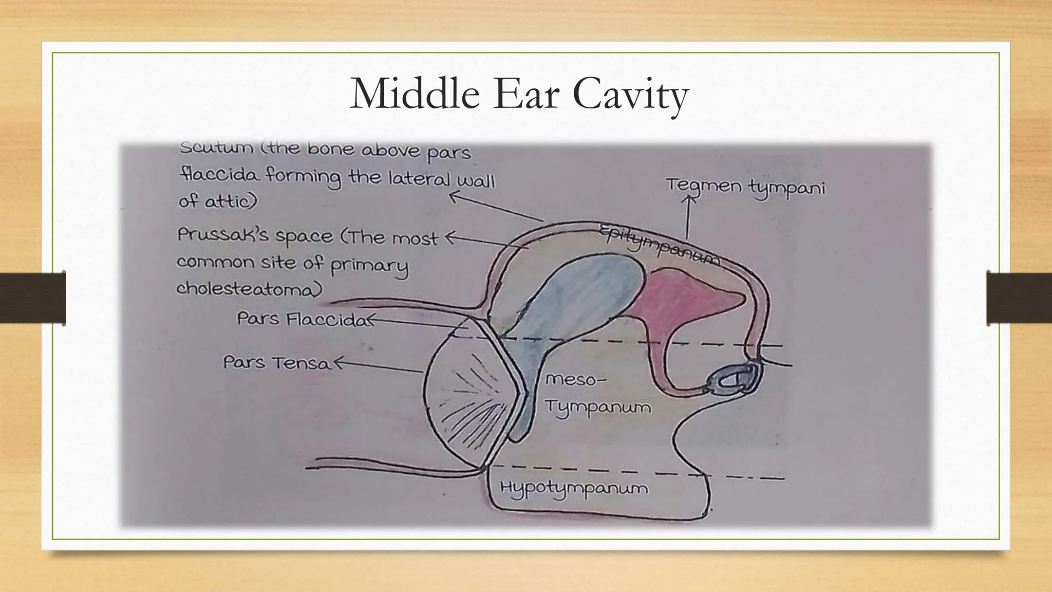 MIDDLE EAR ANATOMY OTORHINOLARYNGOLOGY.pptx