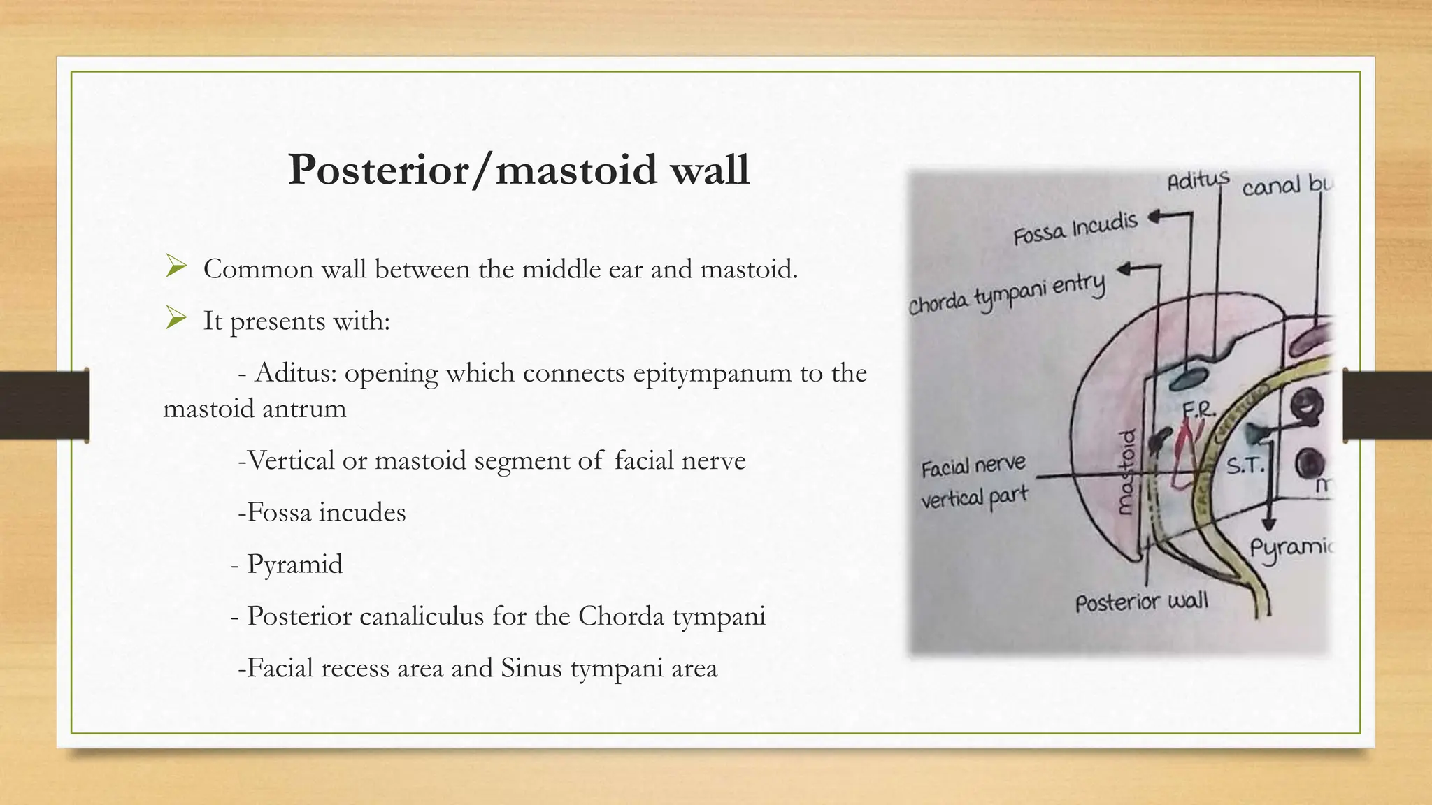 MIDDLE EAR ANATOMY OTORHINOLARYNGOLOGY.pptx