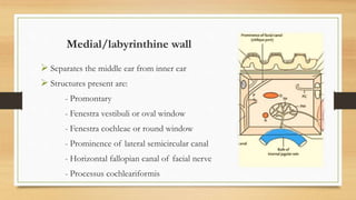 MIDDLE EAR ANATOMY OTORHINOLARYNGOLOGY.pptx