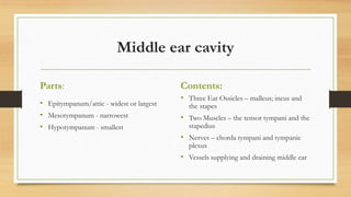 MIDDLE EAR ANATOMY OTORHINOLARYNGOLOGY.pptx | Free Download