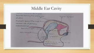 MIDDLE EAR ANATOMY OTORHINOLARYNGOLOGY.pptx