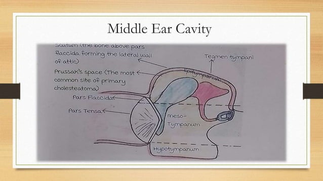 MIDDLE EAR ANATOMY OTORHINOLARYNGOLOGY.pptx