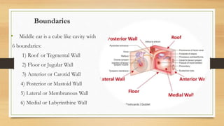 MIDDLE EAR ANATOMY OTORHINOLARYNGOLOGY.pptx