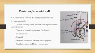 MIDDLE EAR ANATOMY OTORHINOLARYNGOLOGY.pptx