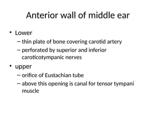 Detailed description of Anatomy of middle ear.pptx