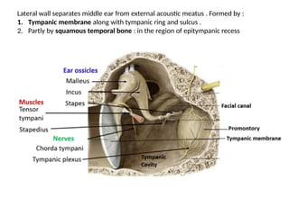 Middle ear.pptxconsisting of tympanic membranee | PPTX