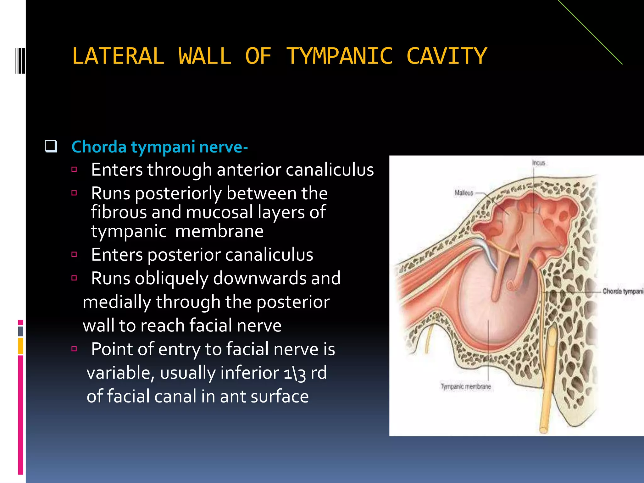 Anatomy Of Middle Ear Cleft | PPTX