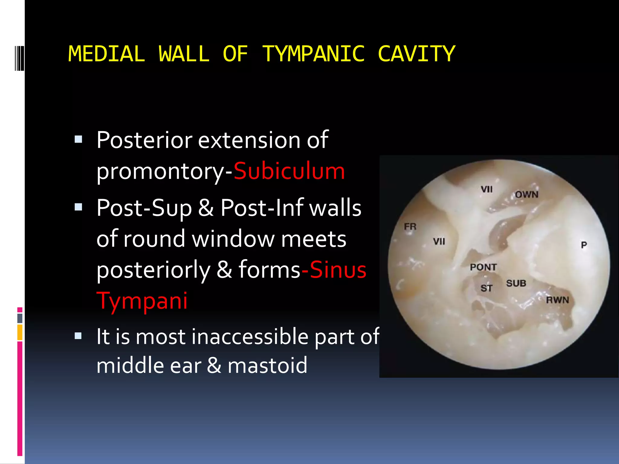Anatomy Of Middle Ear Cleft | PPTX