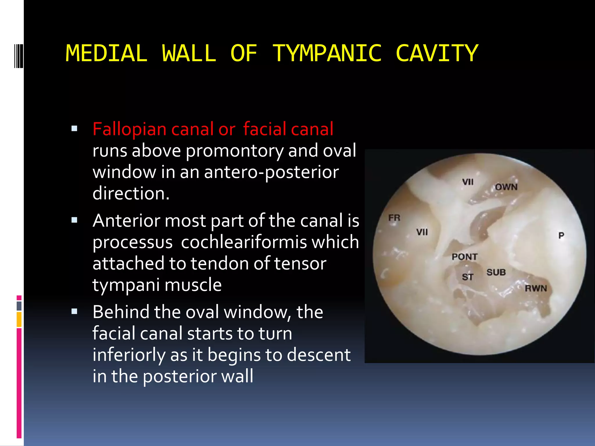 Anatomy Of Middle Ear Cleft | PPTX