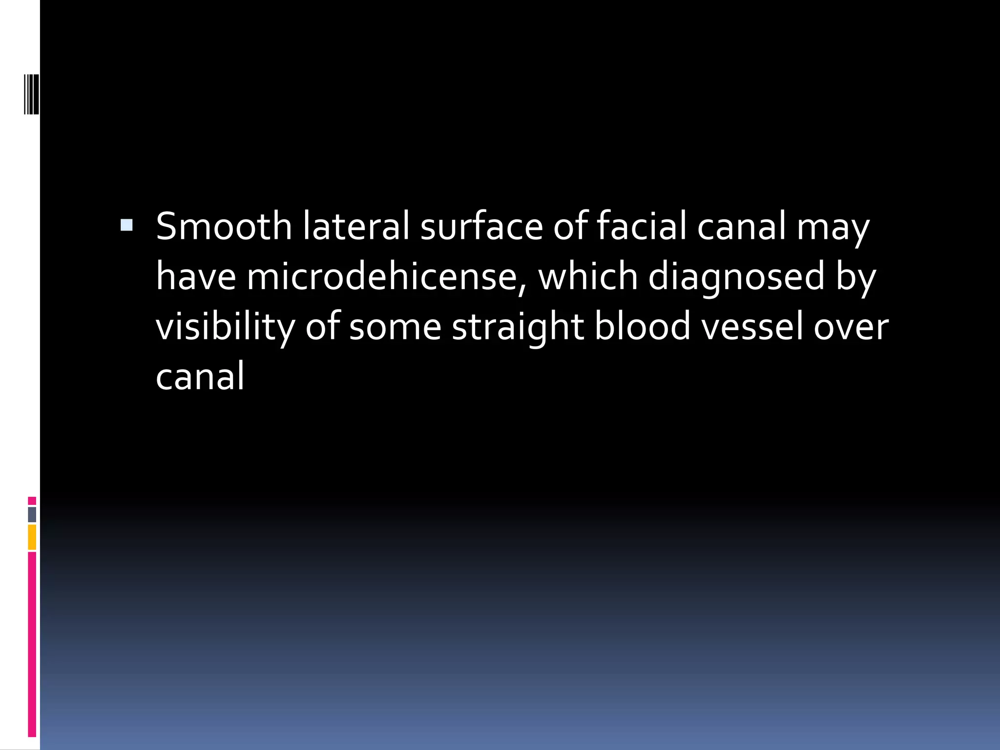 Anatomy Of Middle Ear Cleft | PPTX