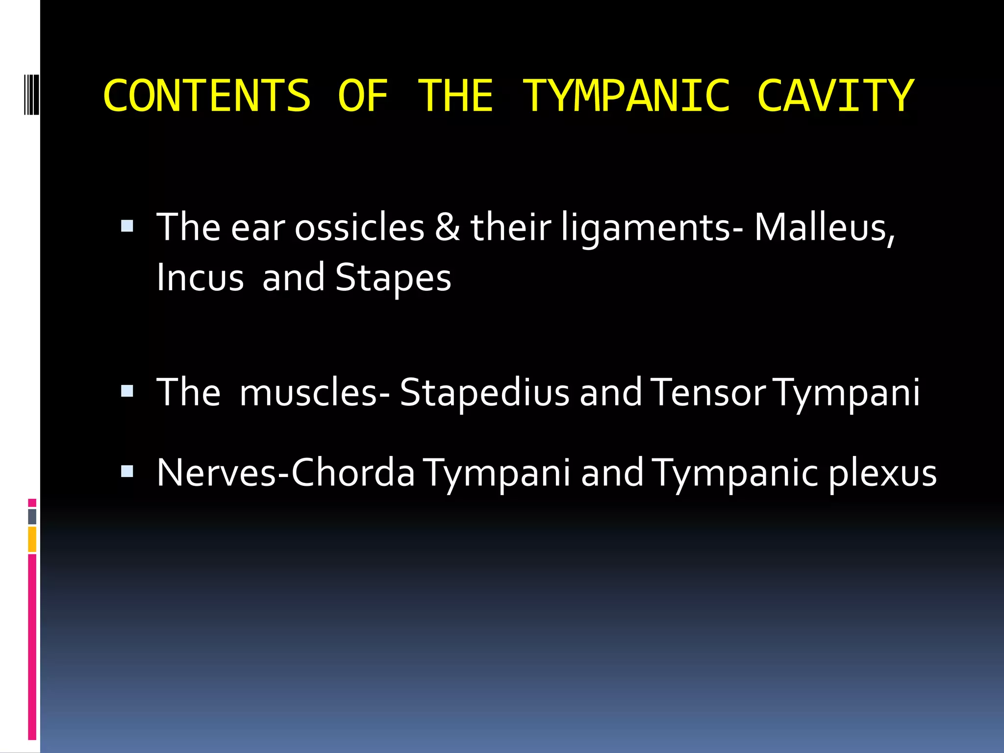 Anatomy Of Middle Ear Cleft | PPTX