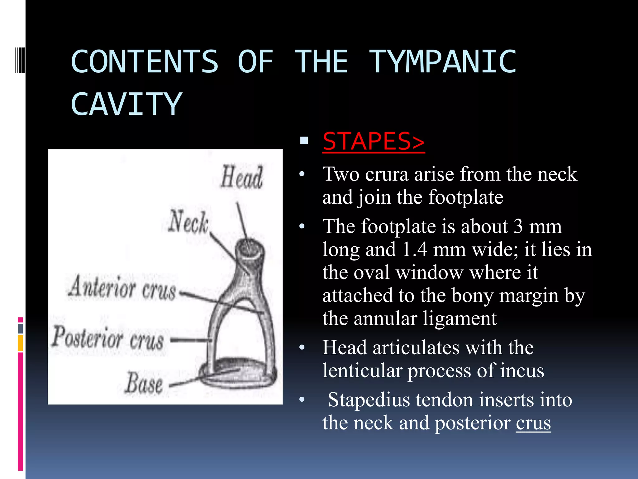 Anatomy Of Middle Ear Cleft | PPTX