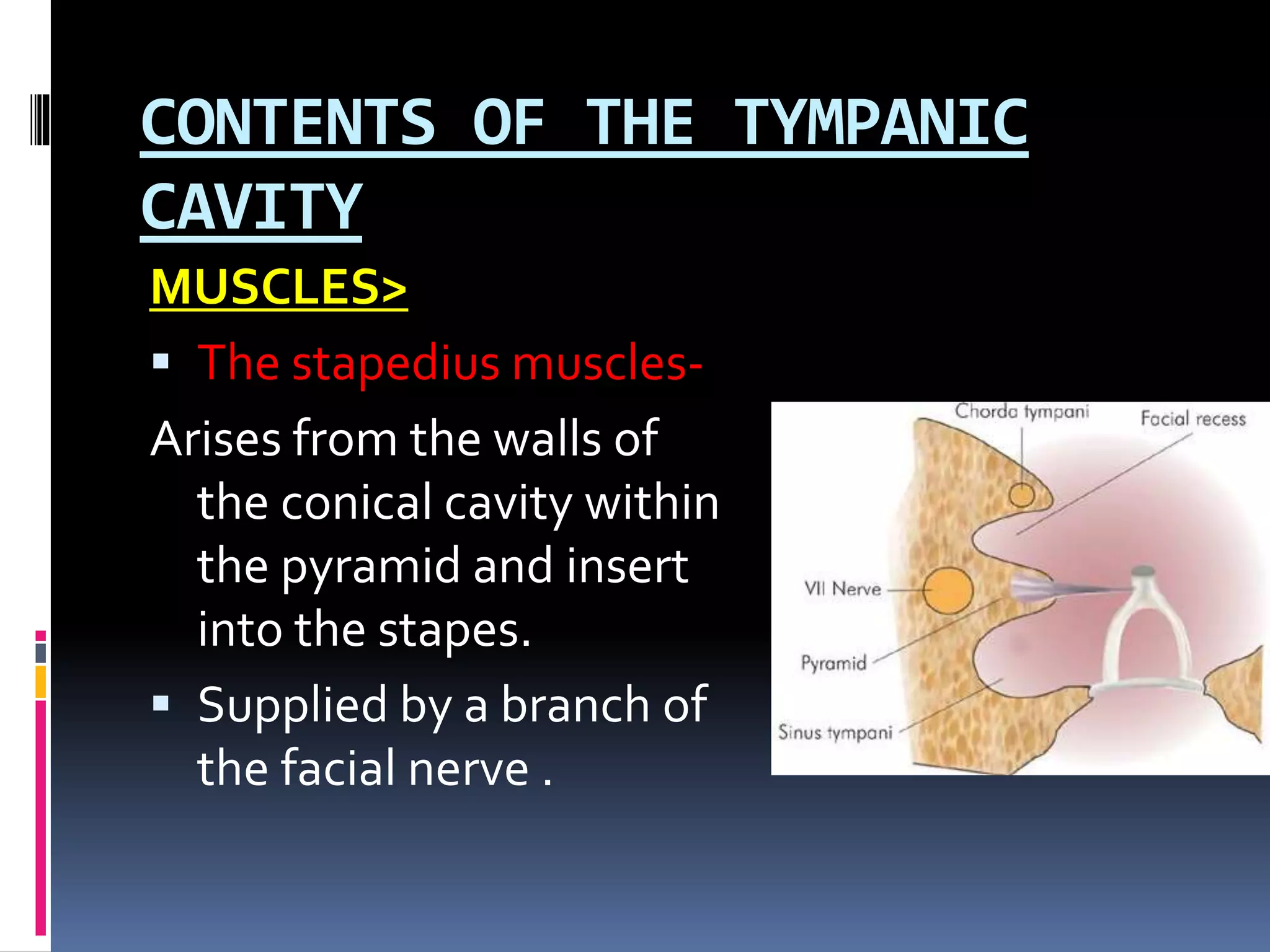 Anatomy Of Middle Ear Cleft | PPTX